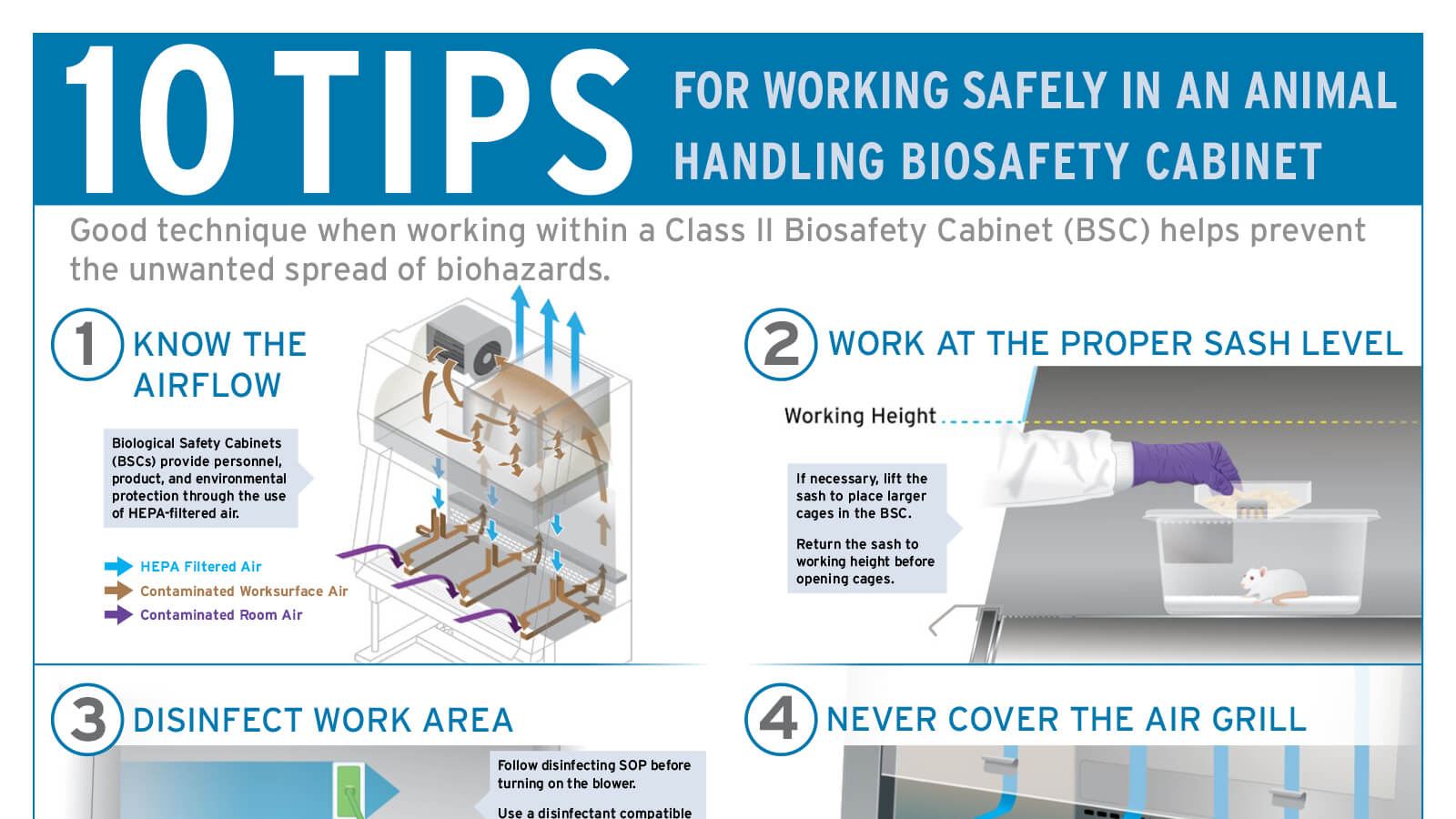 10 Vivarium Biosafety Cabinets Tips Infographic | NuAire