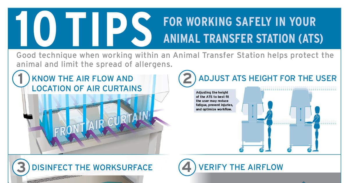 10 Tips for Working Safely in a Animal Transfer Station | NuAire