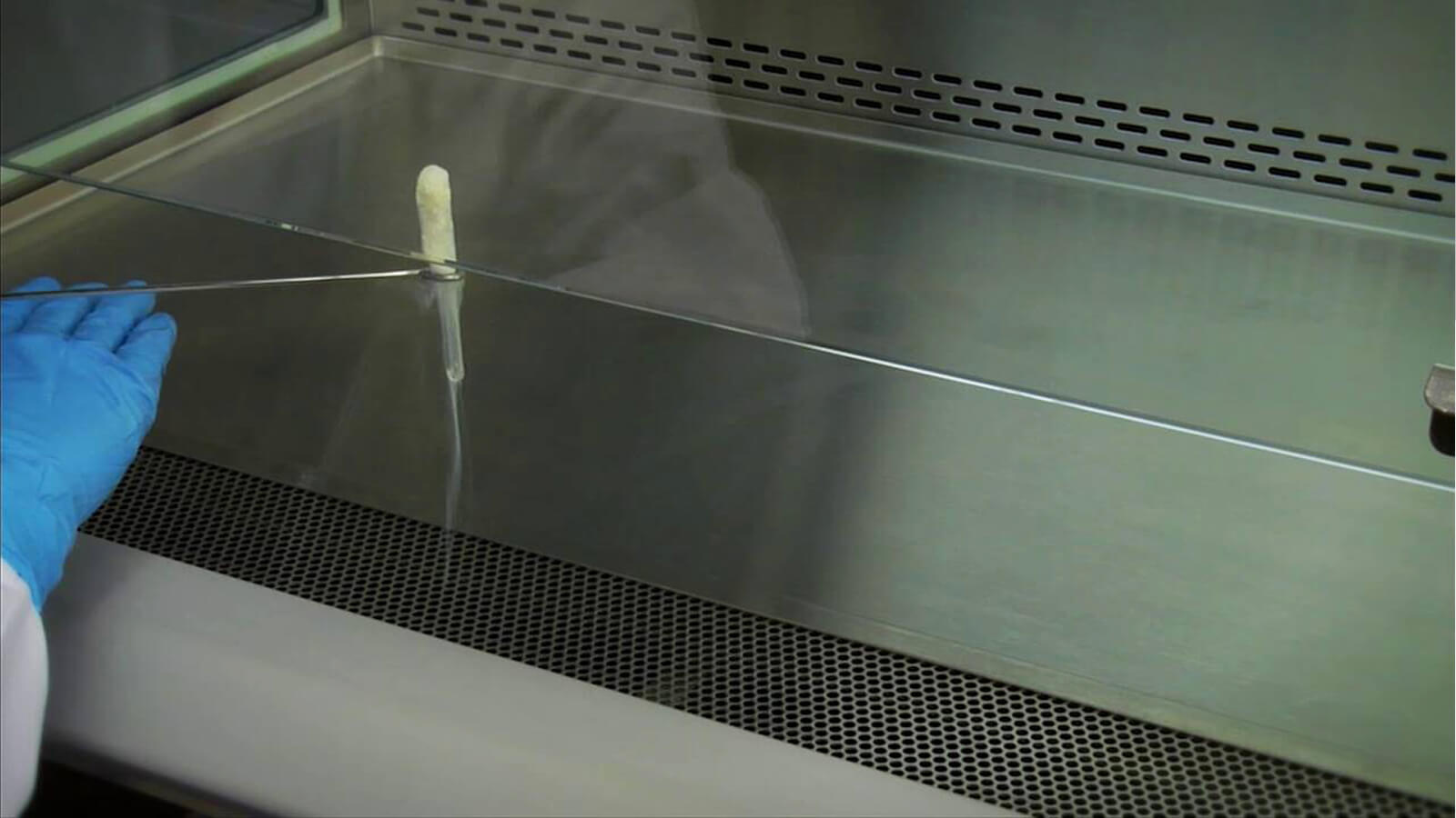 Proper BSC Preparation: 4 Essential Steps | NuAire