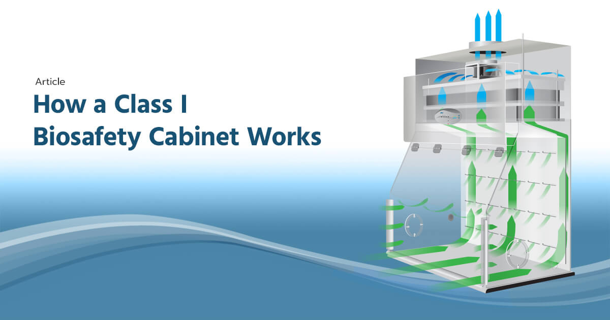 How A Biological Safety Cabinet Works - Infoupdate.org