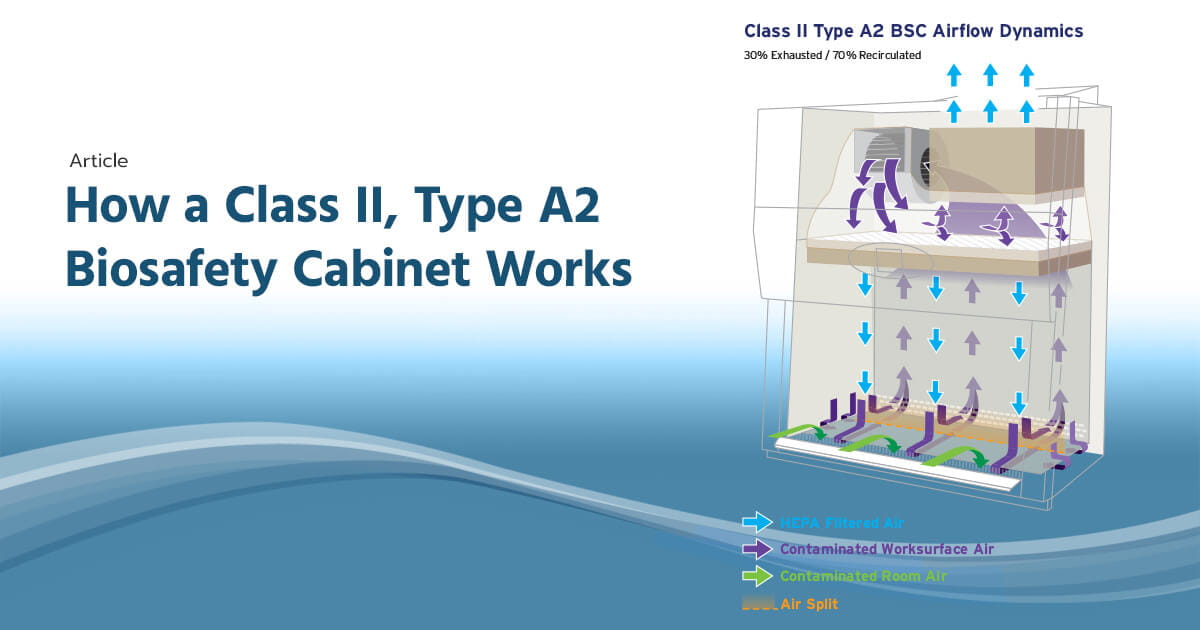 Class Ii Type A2 ReVo Class II, Type A2 Microbiological Safety