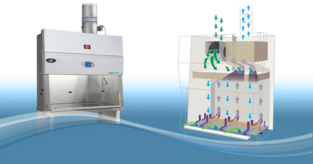 Class Ii Type Laminar Flow Hood Vs Biosafety Cabinet | What's The
