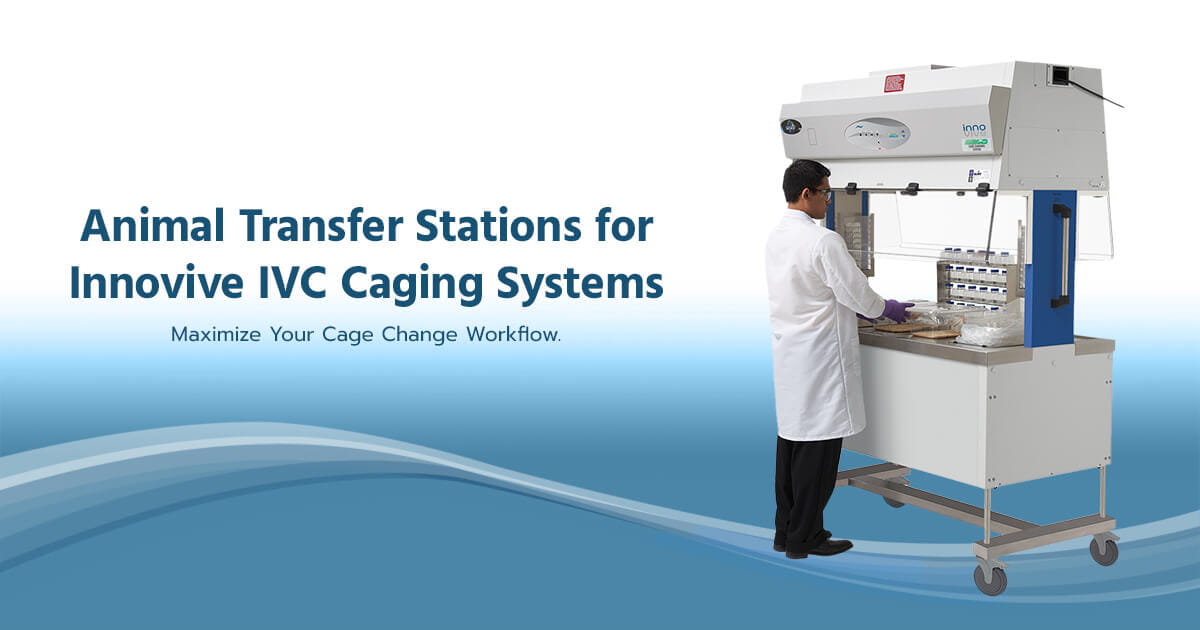 Innovive Small Animal Cages | Animal Transfer Stations | NuAire